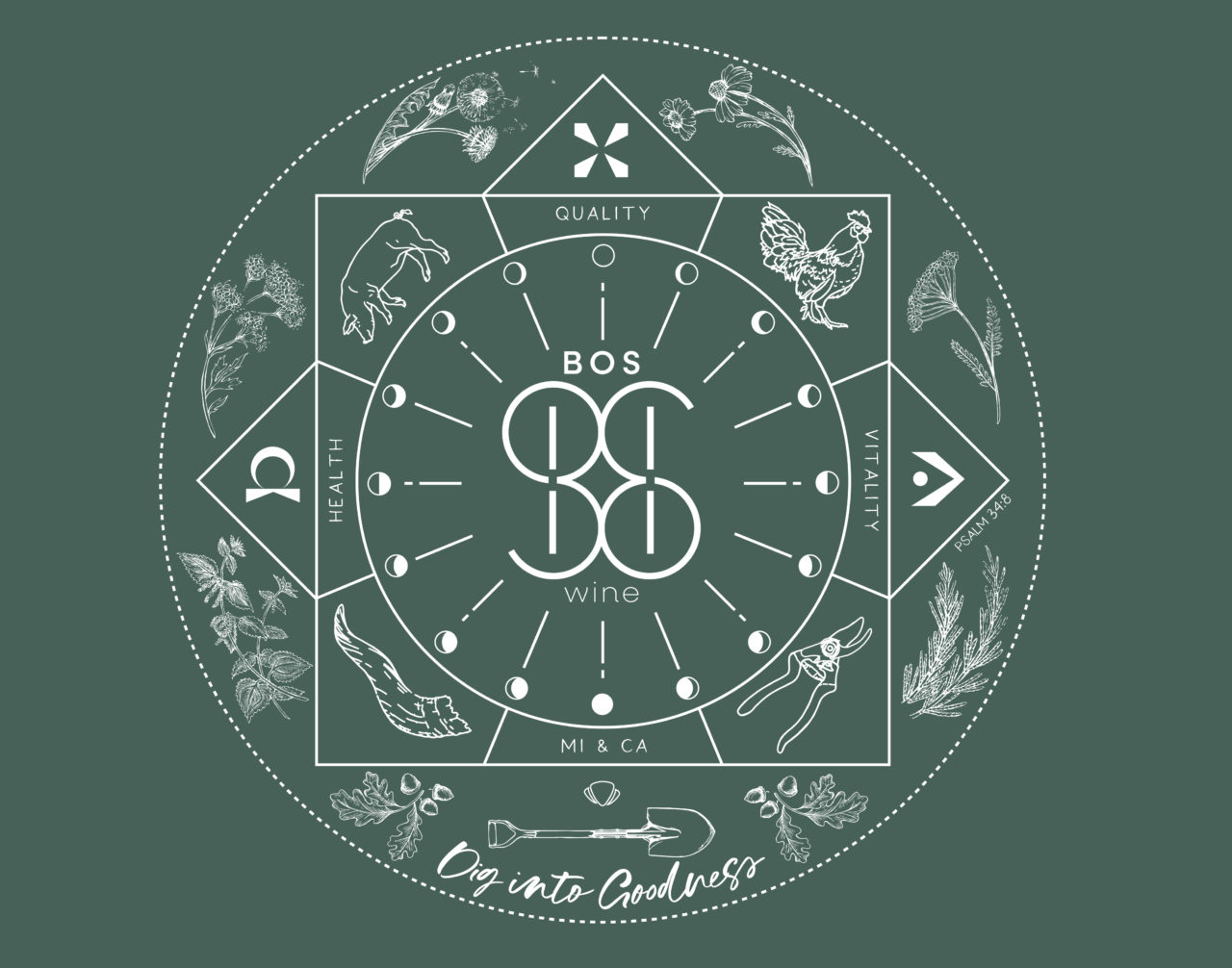 Designing purpose: Jackie Bos of Bos Wine on the art of the wine label