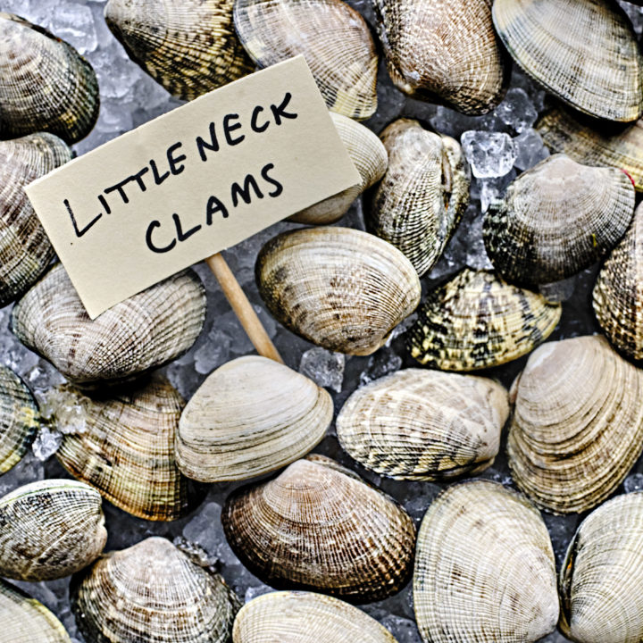 How to navigate the shellfish counter like a pro