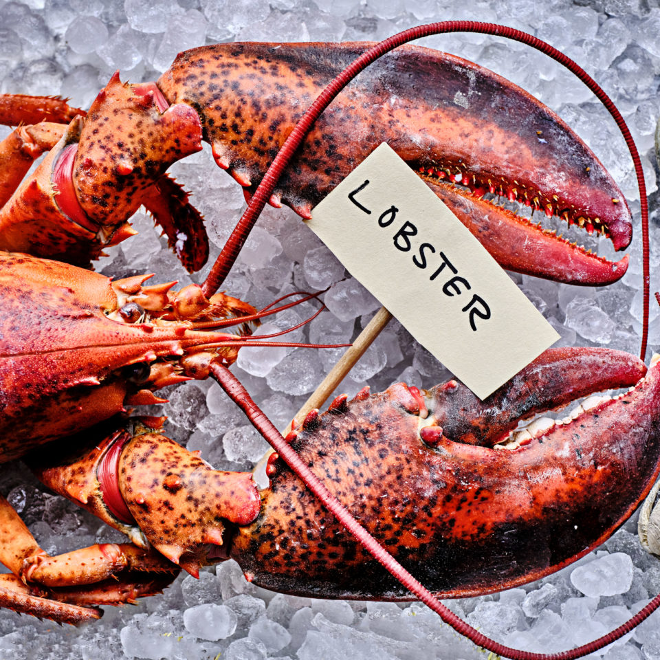 How to navigate the shellfish counter like a pro