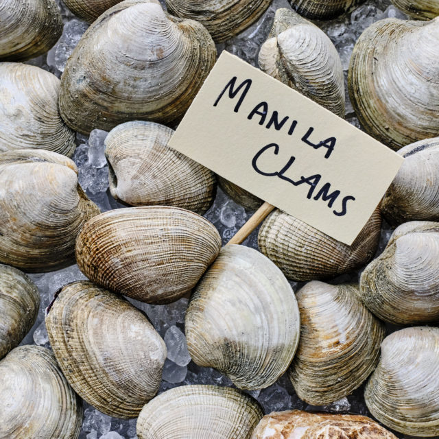 How to navigate the shellfish counter like a pro