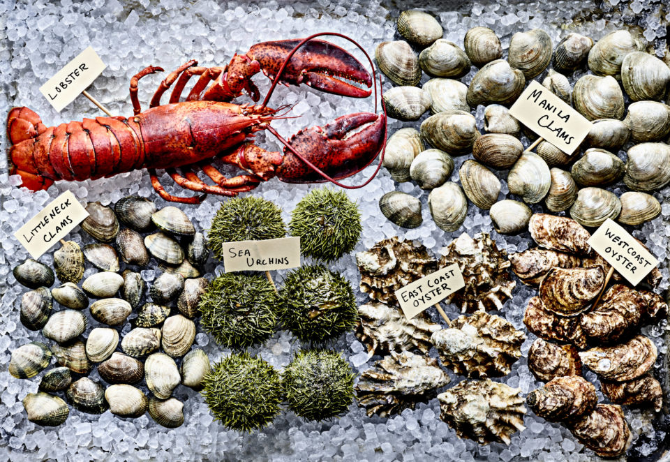 How to navigate the shellfish counter like a pro