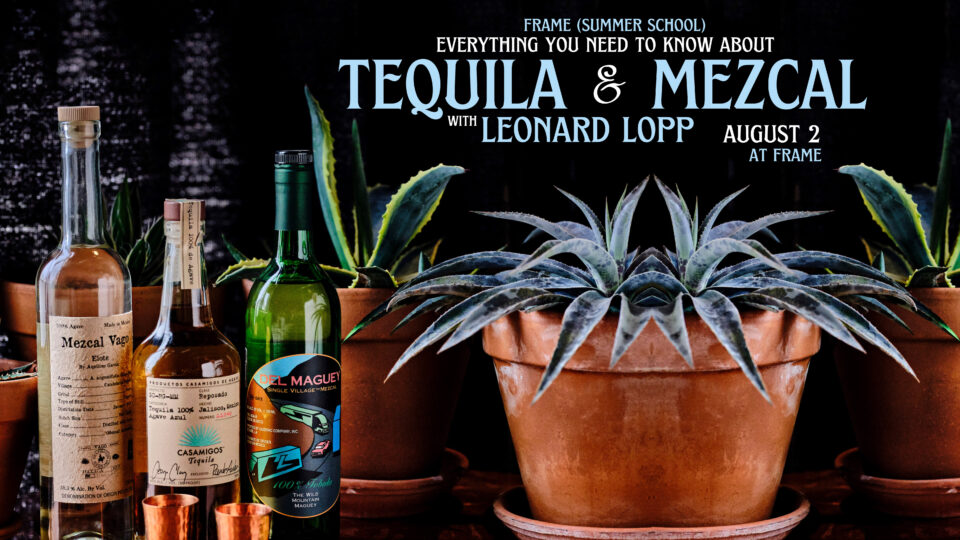 Spirits of Mexico: Everything You Need to Know About Tequila & Mezcal ...