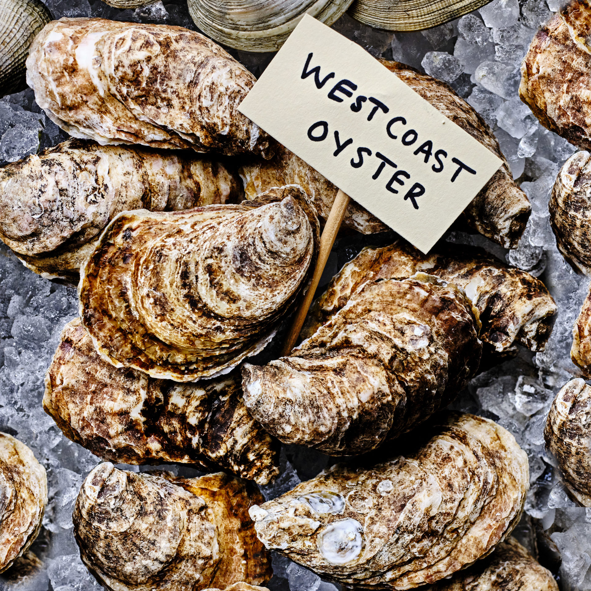 How to navigate the shellfish counter like a pro